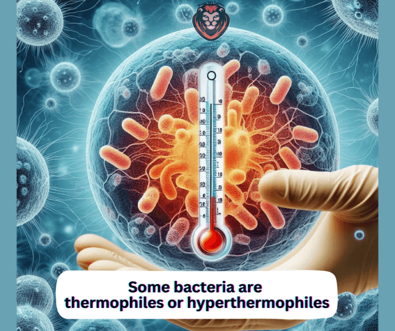 Which Food is at a Temperature That Allows Bacteria to Grow Well ...
