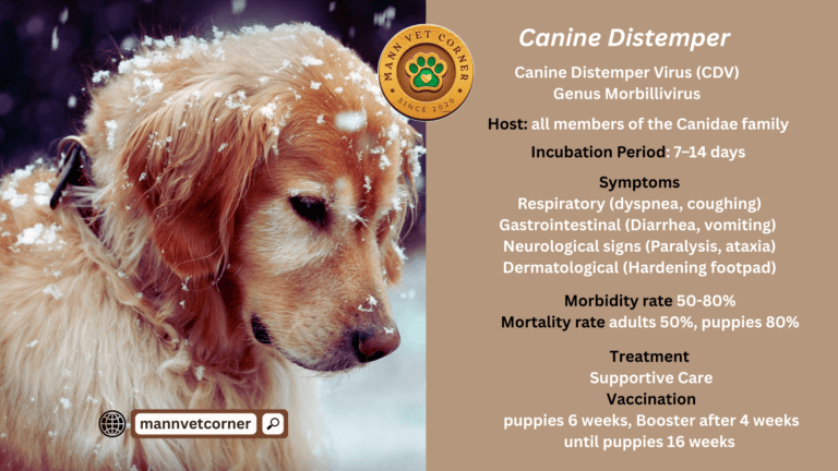Canine Distemper: A Comprehensive Guide - mannvetcorner