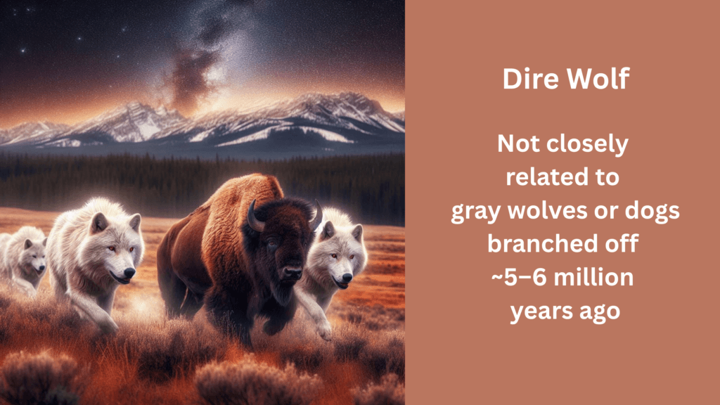 Ice Age Predator: Untold Story of Dire Wolf - mannvetcorner