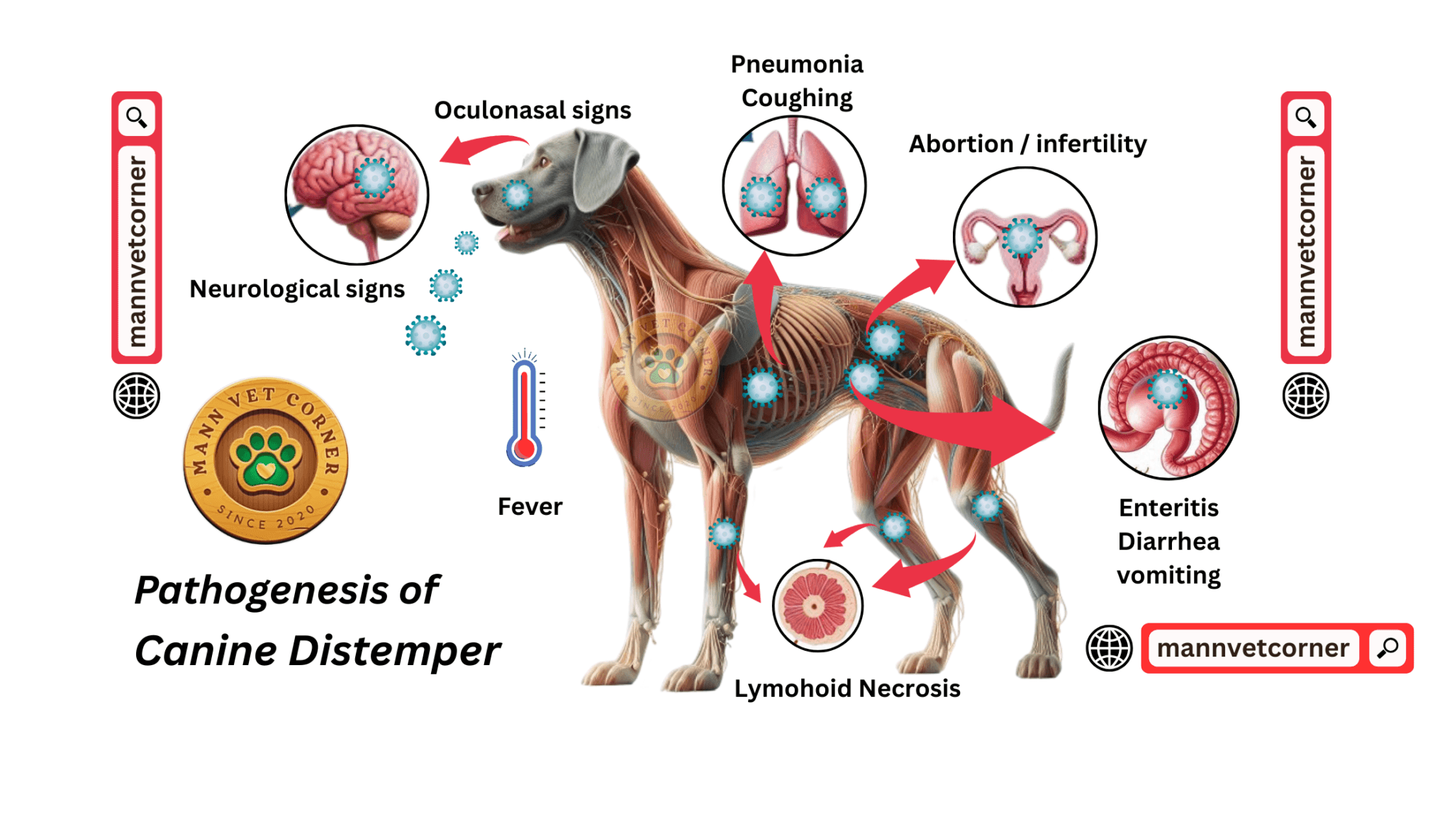 Canine Distemper: A Comprehensive Guide - mannvetcorner