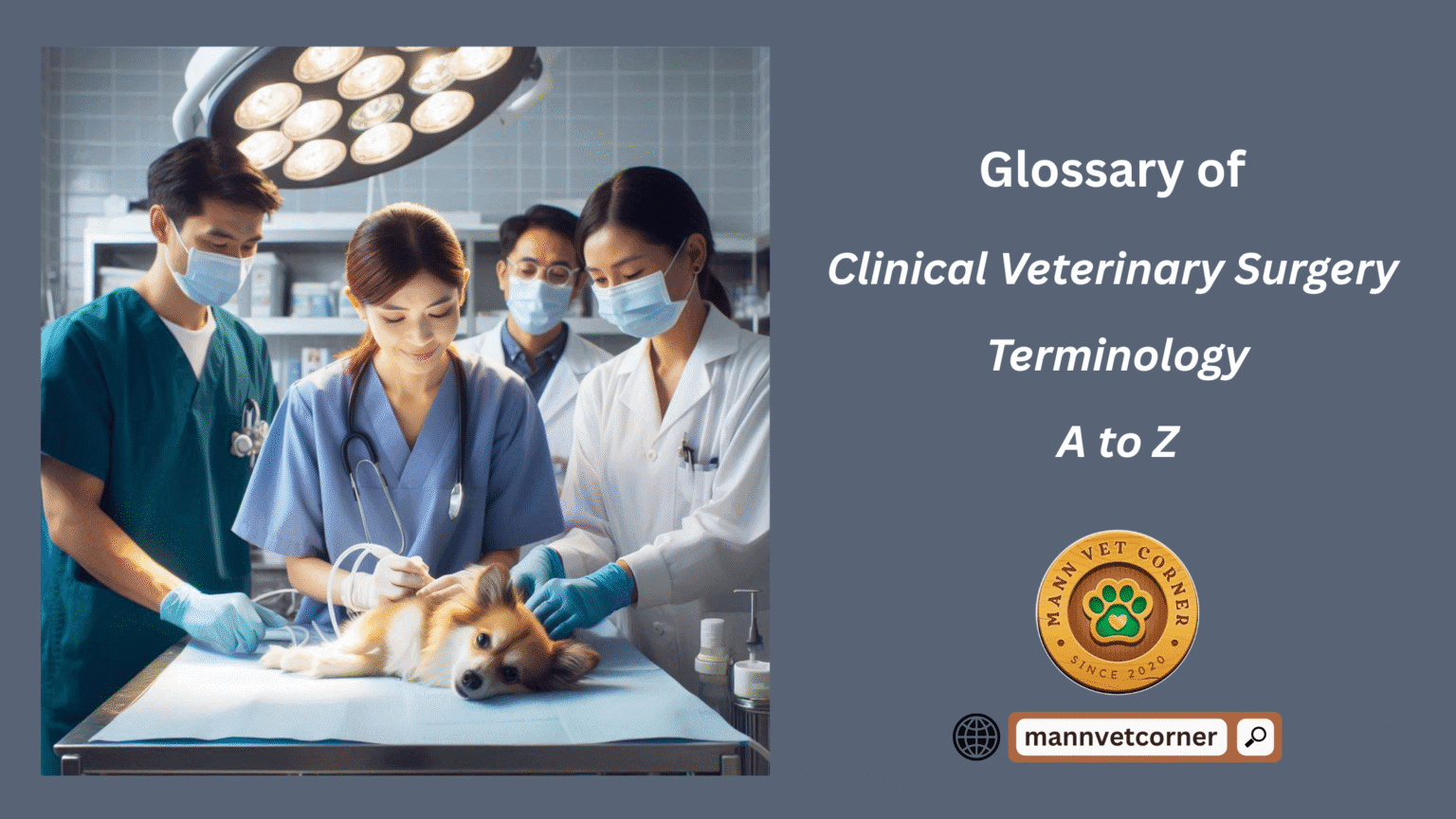 Glossary of Clinical Vet Surgery: A to Z - mannvetcorner