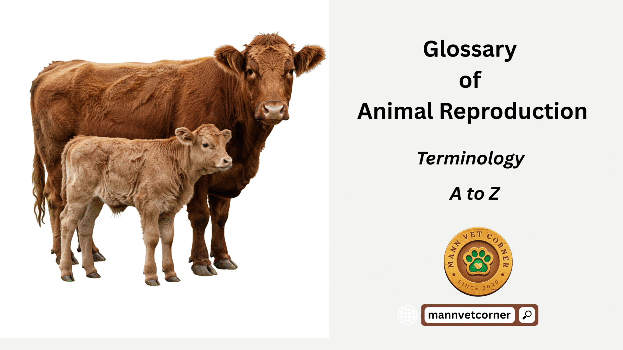 Glossary of Animal Reproduction: A to Z - mannvetcorner