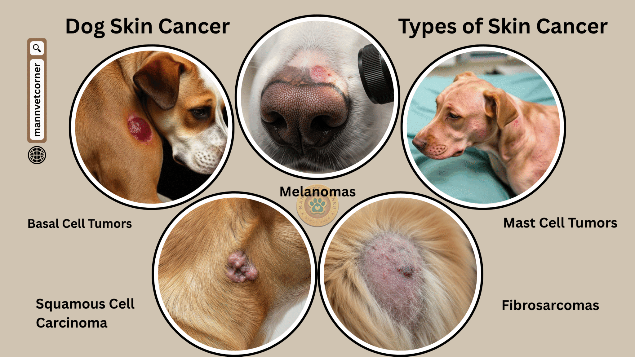 Dog Skin Cancer: Early Signs, Types, and What to Do - mannvetcorner