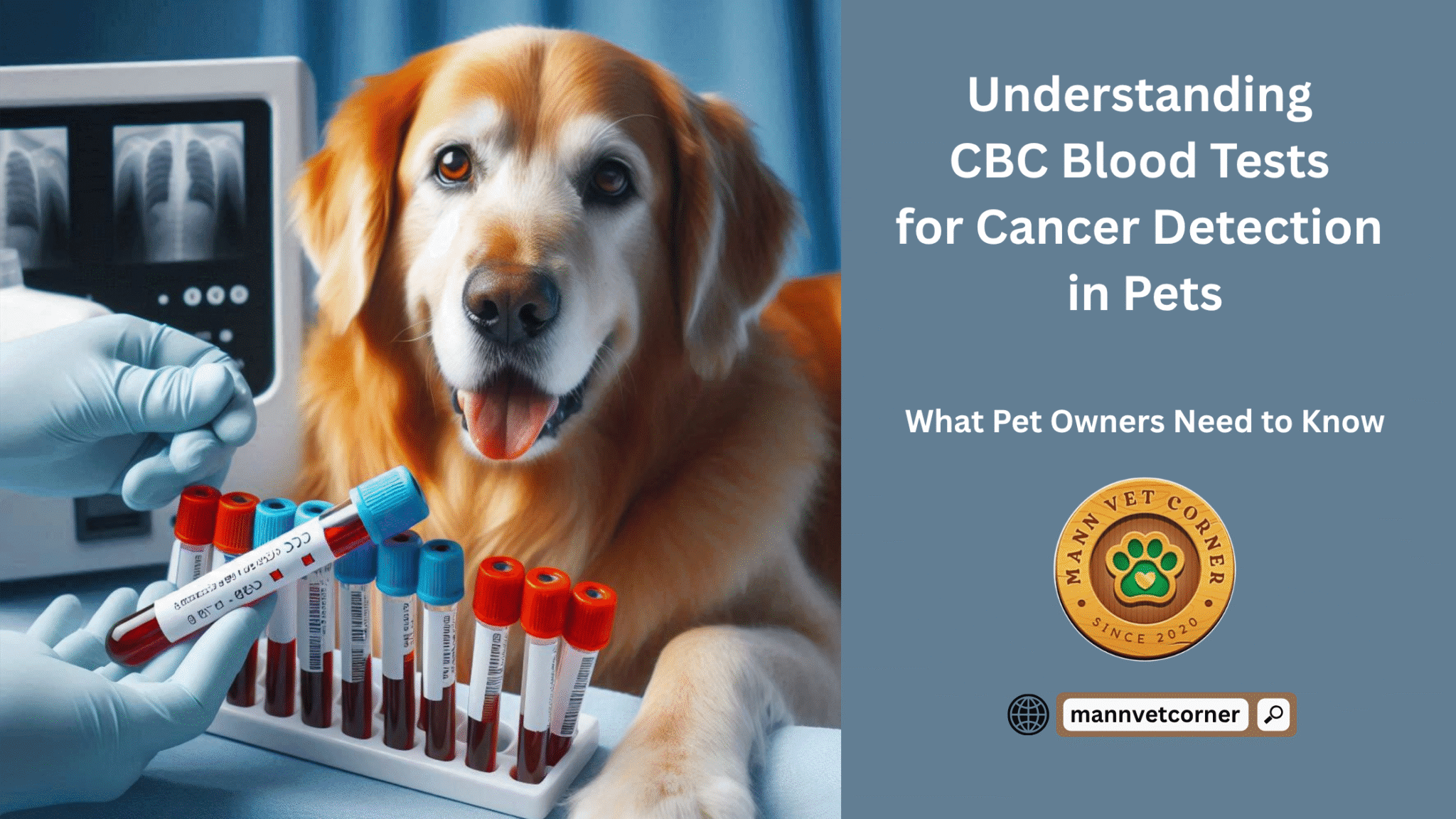 Understanding CBC Blood Tests for Cancer Detection in Pets - mannvetcorner