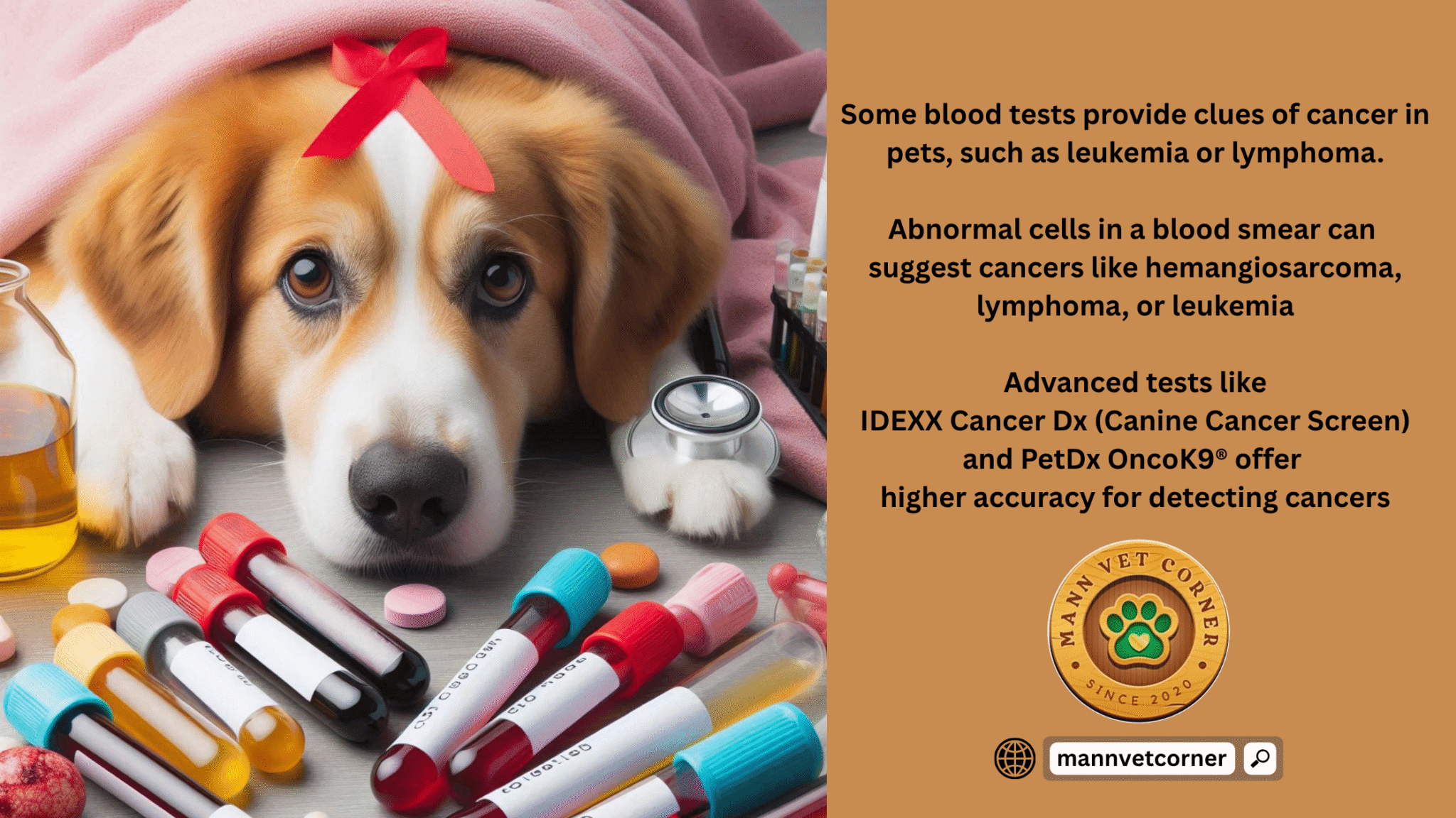 Understanding CBC Blood Tests for Cancer Detection in Pets - mannvetcorner