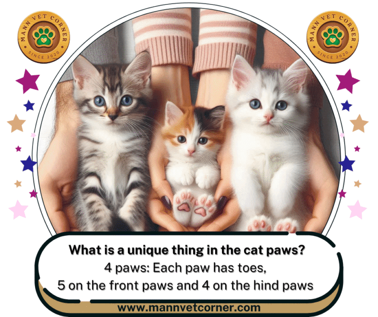 What is a unique thing in the cat paws? - mannvetcorner