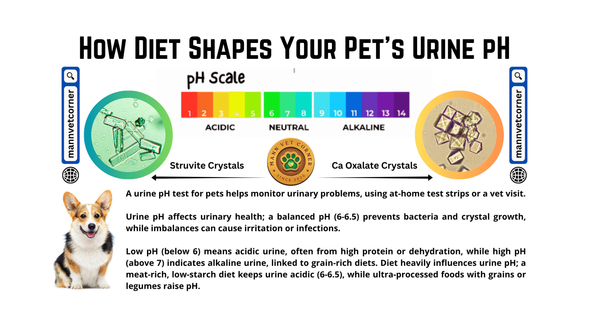 How Diet Shapes Your Pet's Urine pH - mannvetcorner
