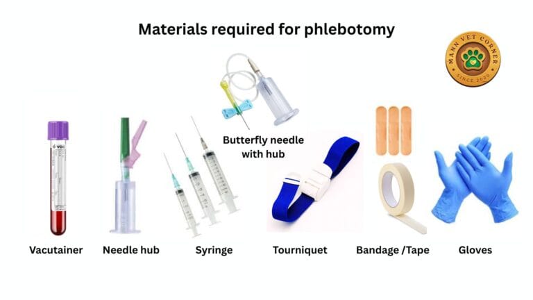 Phlebotomy: Blood Collection From Different Animals - mannvetcorner