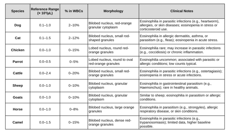 White Blood Cells in Different Animals - mannvetcorner