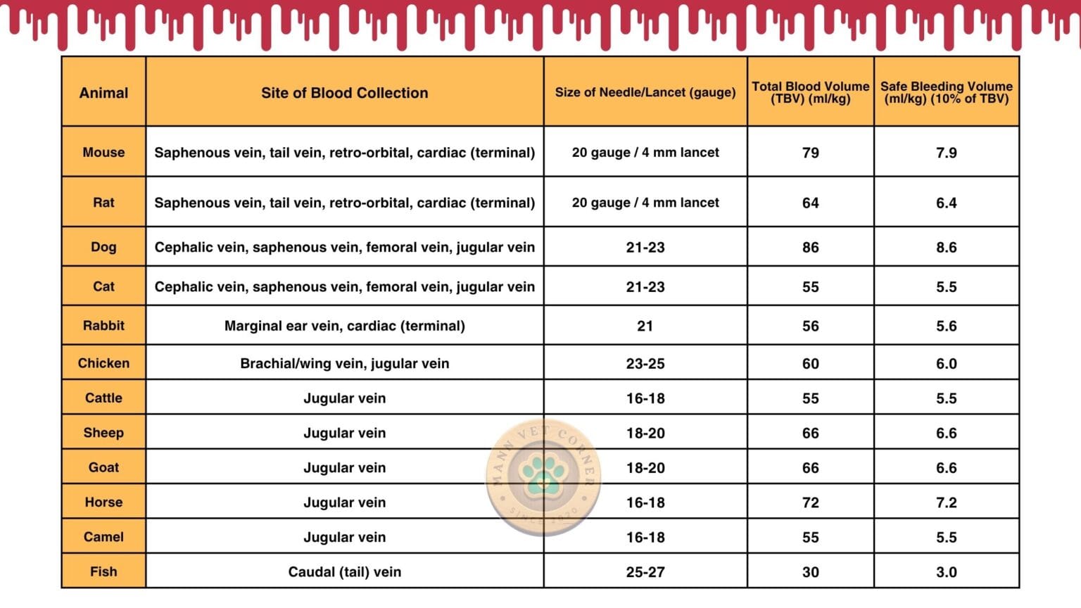 Phlebotomy: Blood Collection From Different Animals - mannvetcorner