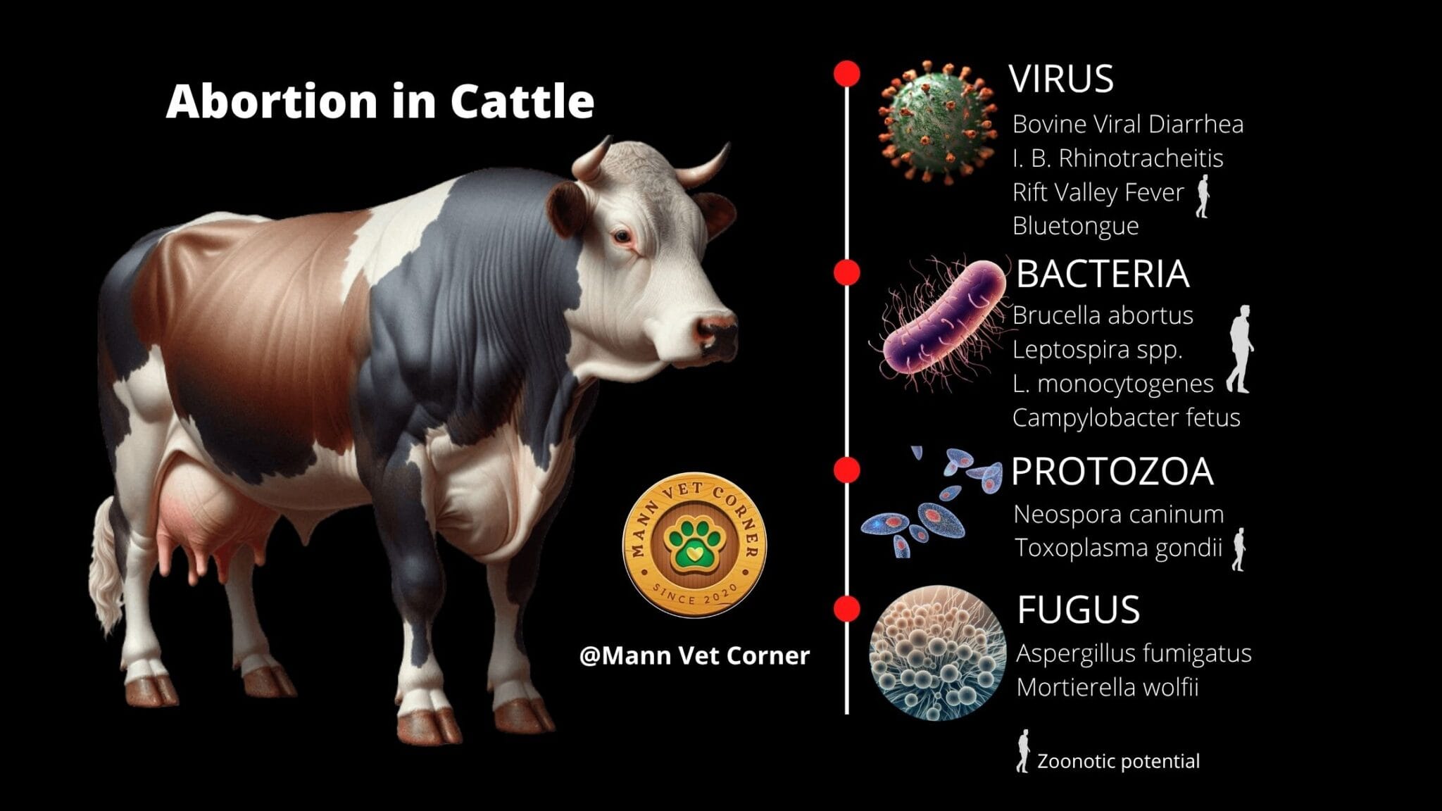 Abortion in Cattle: Comphrensive Review - mannvetcorner