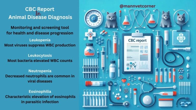 CBC Report in Animal Disease Diagnosis: A Clinical Guide - mannvetcorner