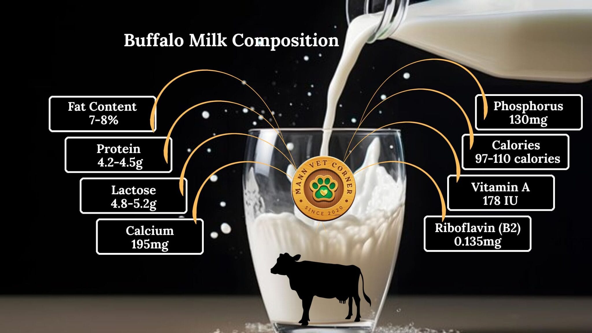 Buffalo Milk: Composition, Benefits, & Production - mannvetcorner