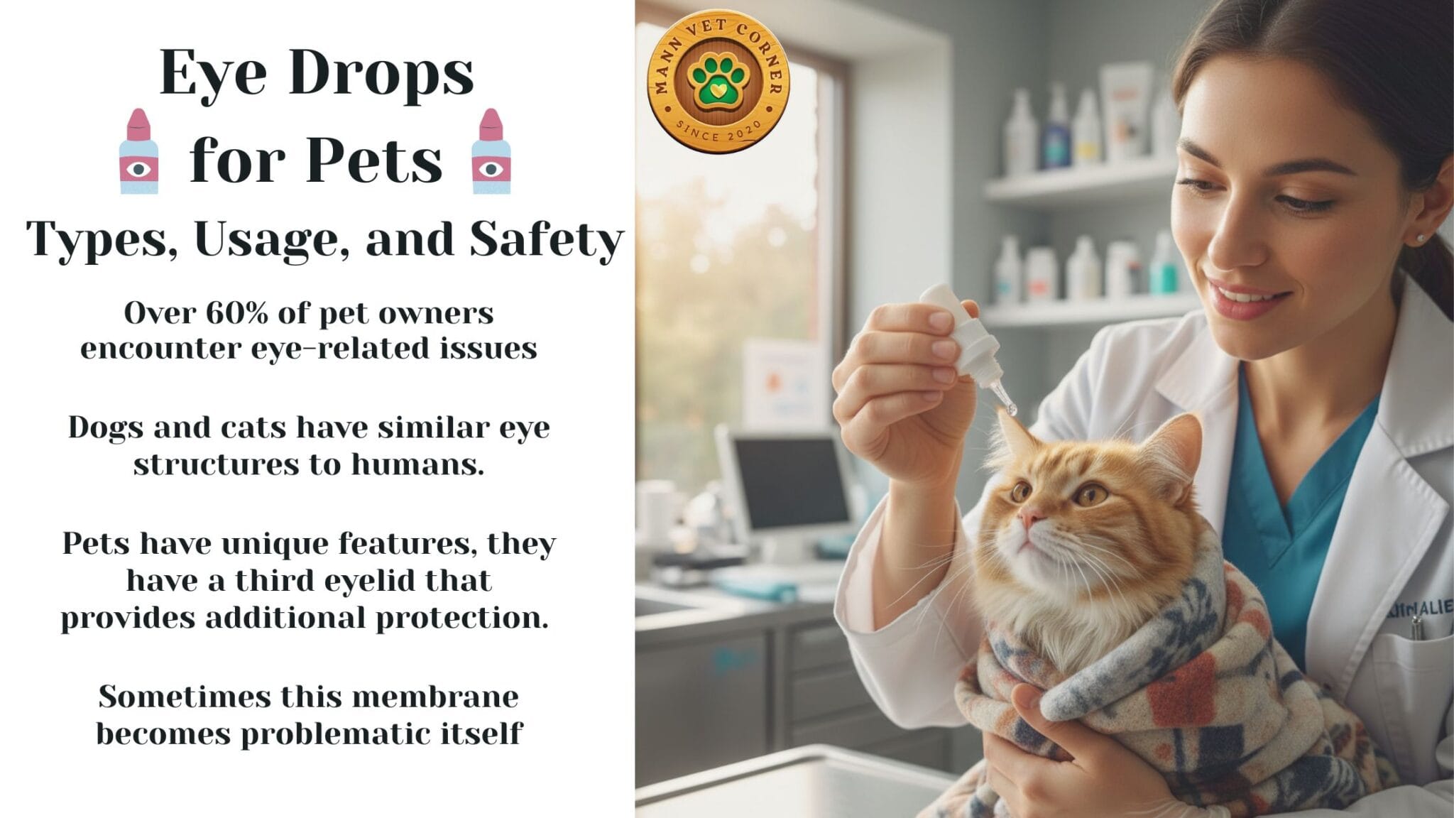 Eye Drops for Pets: Types, Usage, and Safety - mannvetcorner