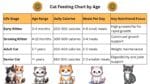 Ultimate Cat Feeding Chart by Age and Weight - mannvetcorner