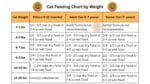 Ultimate Cat Feeding Chart by Age and Weight - mannvetcorner