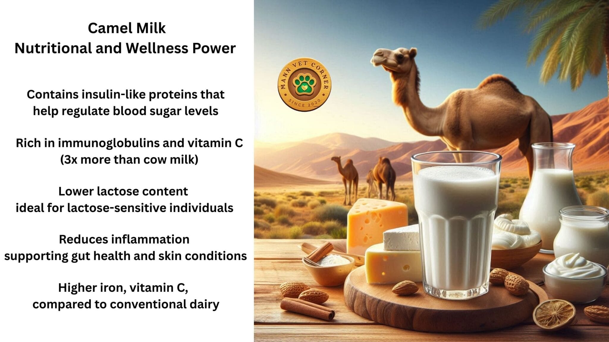 Nutritional and Wellness Power of Camel Milk: A Complete Guide ...