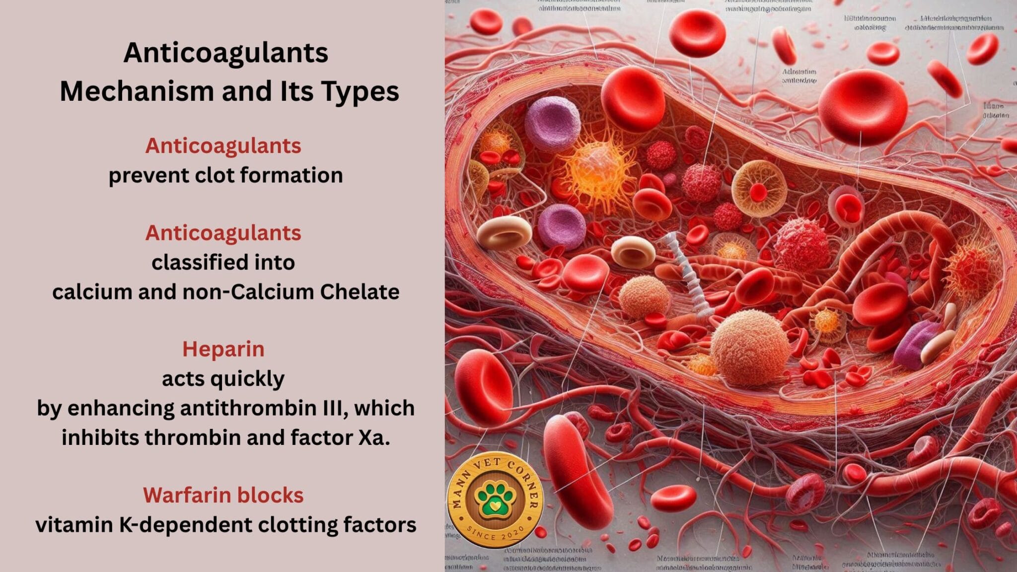 Anticoagulants: Mechanism and Its Types - mannvetcorner