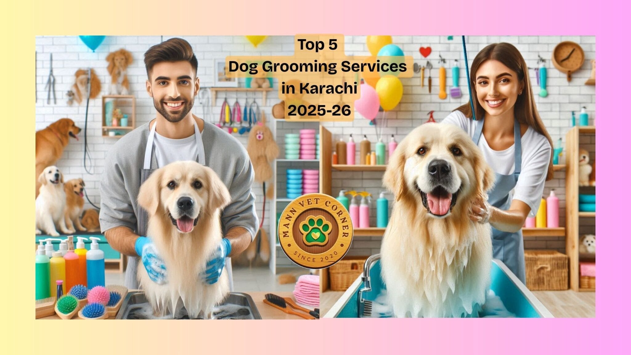Top 5 Dog Grooming Services in Karachi-2025-26 - mannvetcorner