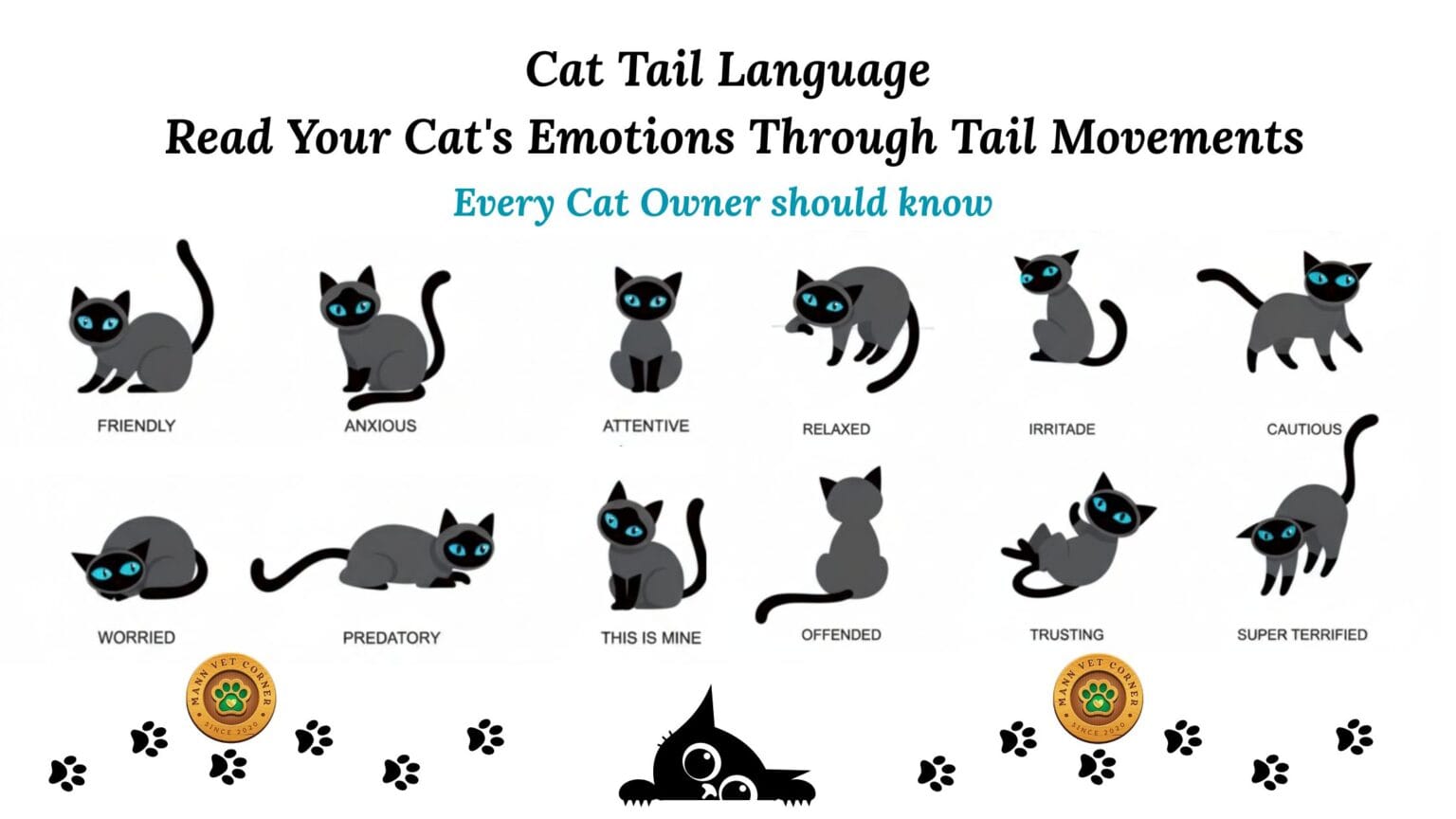 Cat Tail Language: Read Your Cat's Emotions Through Tail Movements ...