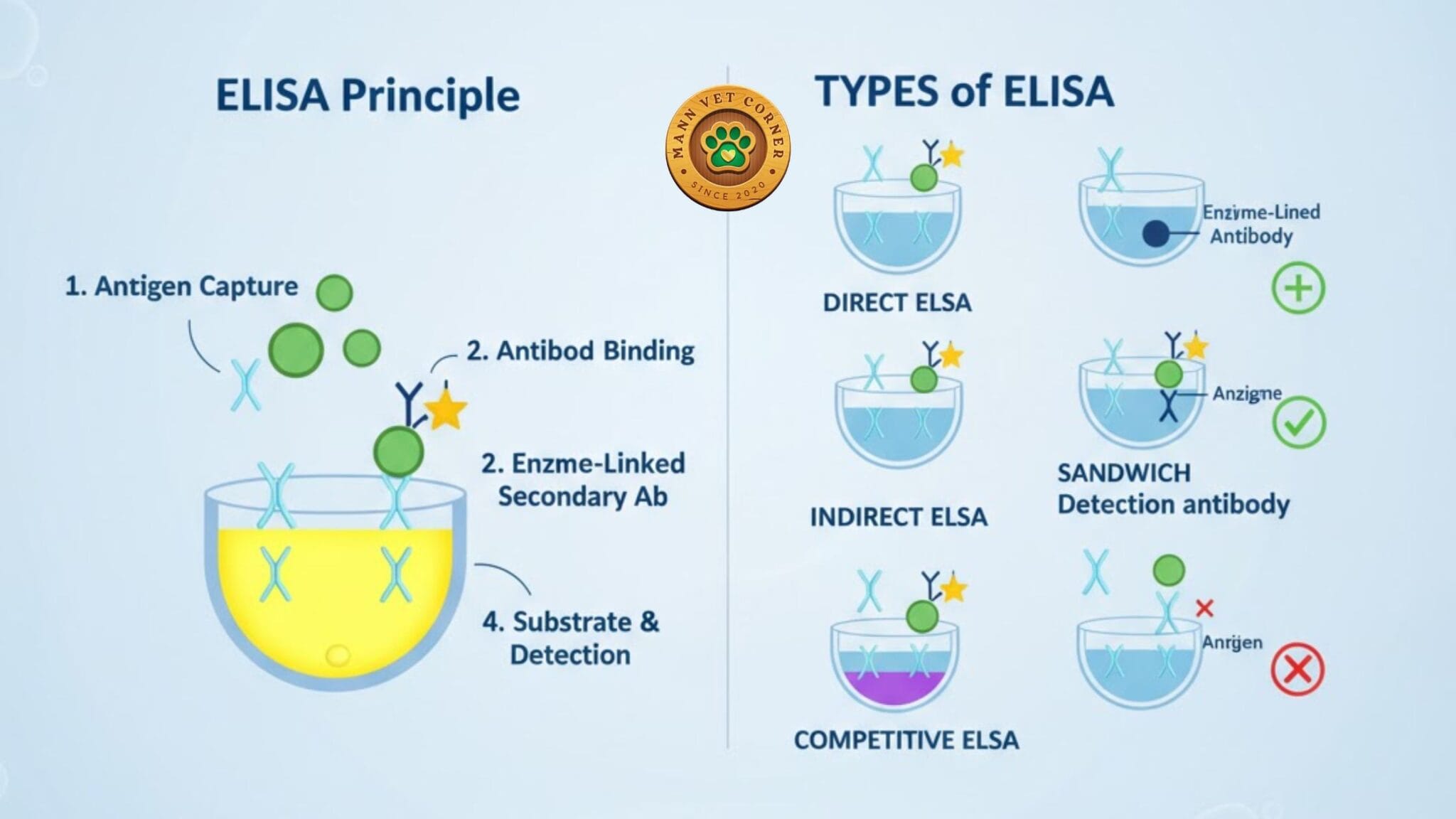 ELISA & It's Types: Immunoassay in Animal Disease Diagnosis - mannvetcorner