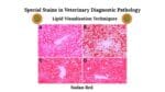 Histopathology Techniques in Veterinary Pathology - mannvetcorner