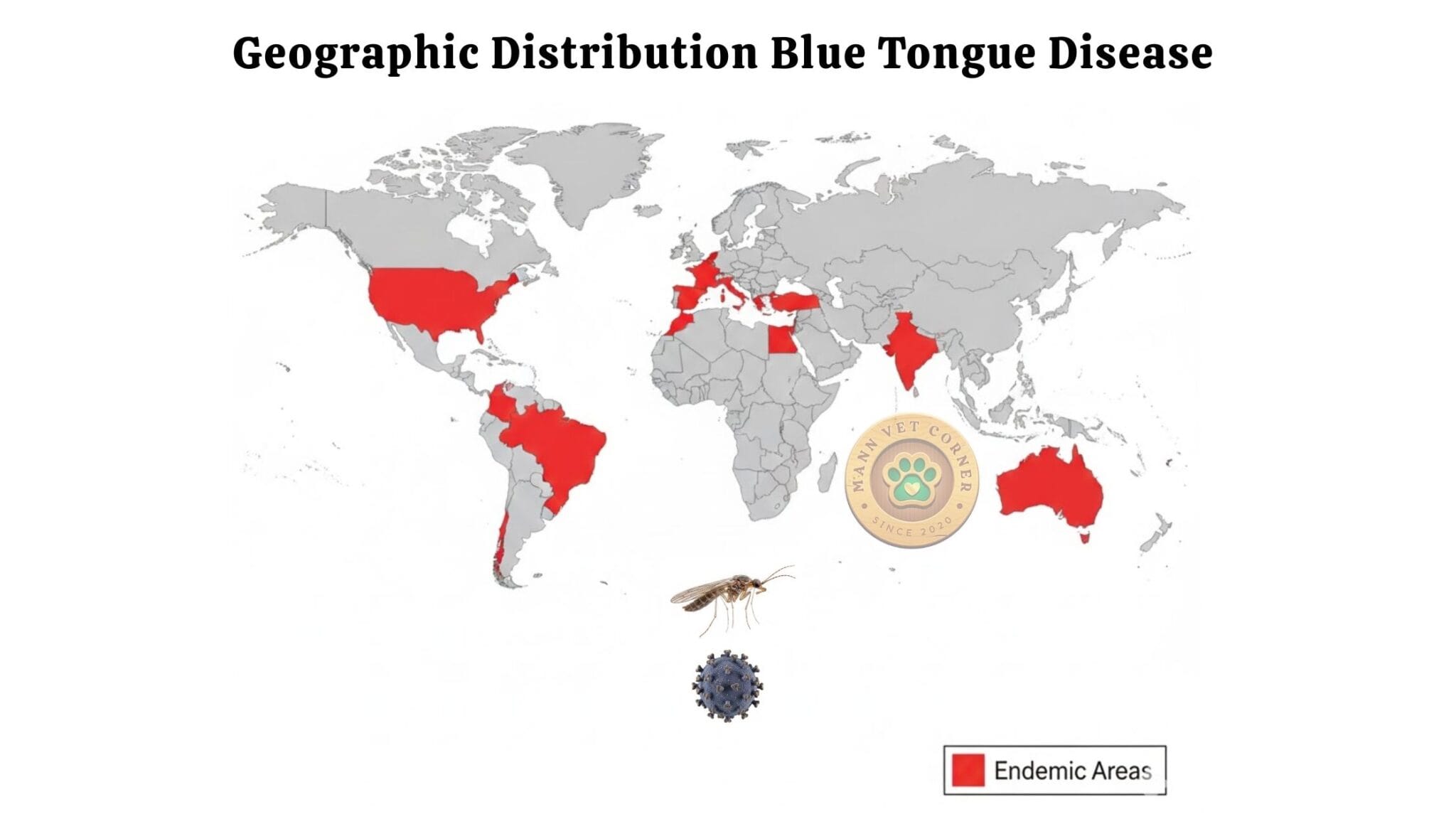 Blue Tongue Disease in Sheep and Cattle - mannvetcorner