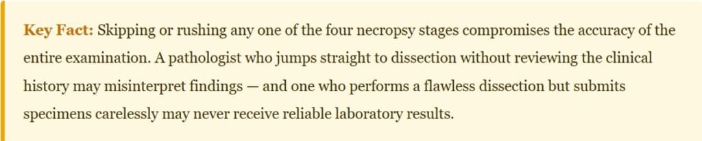Necropsy and Its 4 Stages: A Complete Guide - mannvetcorner